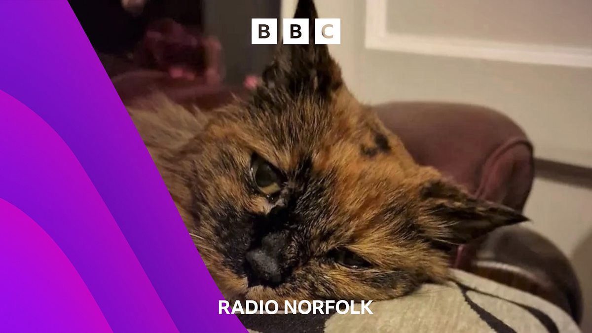 BBC Radio Norfolk - Stephen Bumfrey, Sam Day sits in (07/06/2023), Nine ...