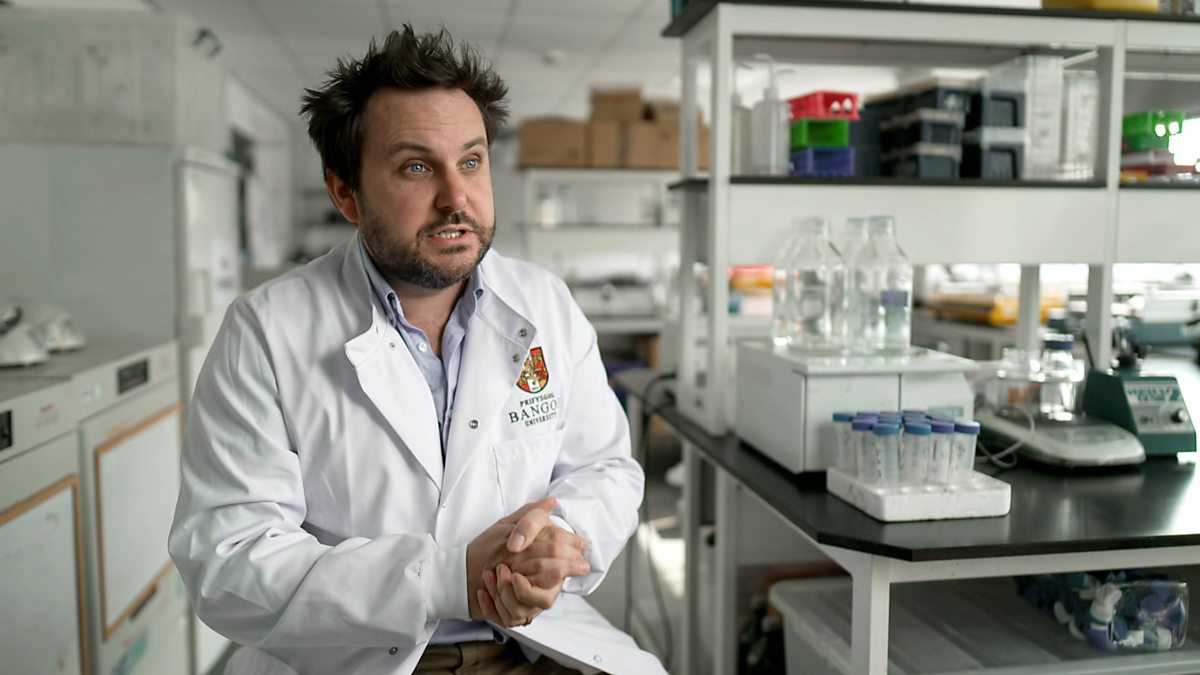 S4C - Y Byd ar Bedwar, Cyfres 2023/24, Nofio mewn carthion?