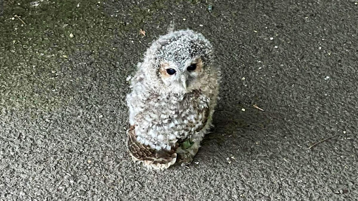 BBC Radio Bristol - James Hanson, Weight Loss and Bristol Beacon, Baby ...