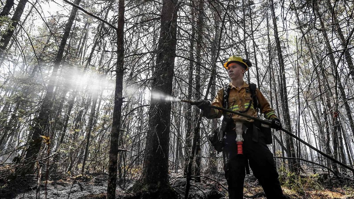 BBC World Service - Business Matters, Wildfires: Inside Canada’s ...