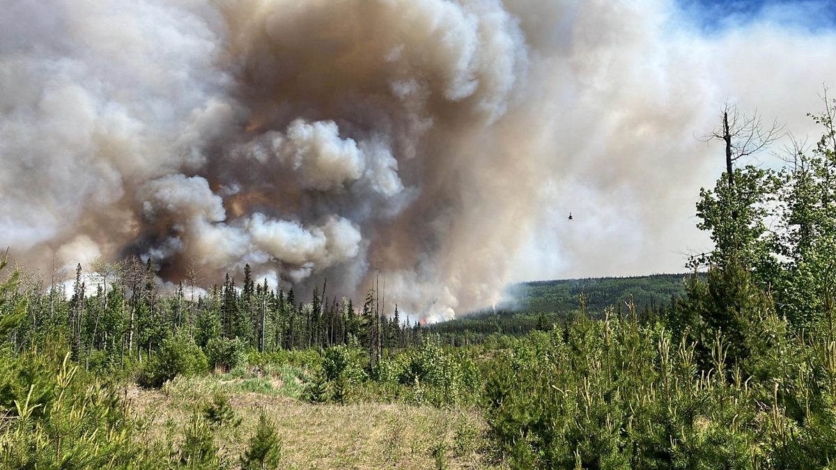 BBC World Service - Newsday, Climate change blamed for wildfires in US ...
