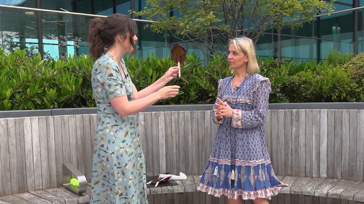 BBC Radio 4 - Saturday Live, Sheila Hancock, Vogue Williams, Fran Scott ...