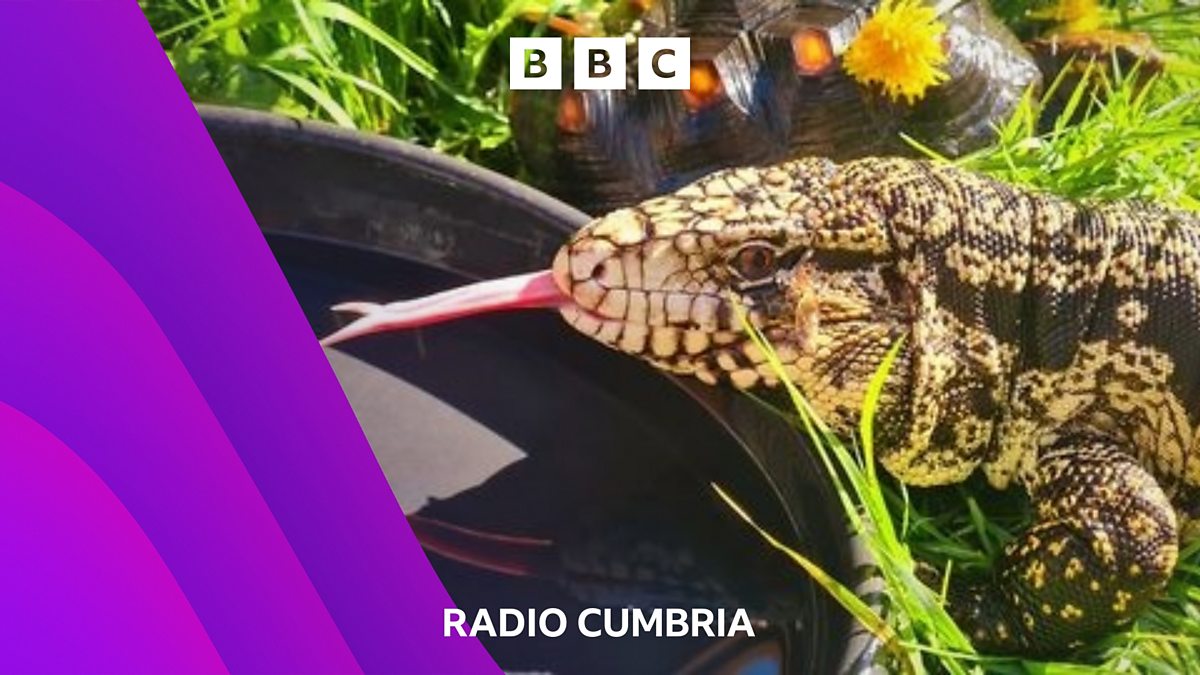 BBC Radio Cumbria - BBC RADIO CUMBRIA, Reward offered in the hunt for a ...
