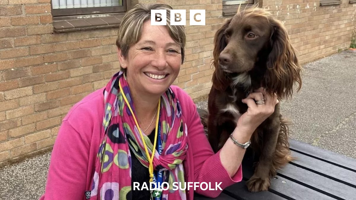 BBC Radio Suffolk - Luke Deal, Therapy dog hailed as primary school's ...
