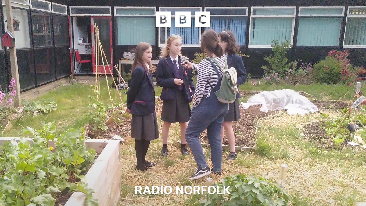 BBC Radio Norfolk - Anna Perrott, The Papillon Project, Smithdon High ...