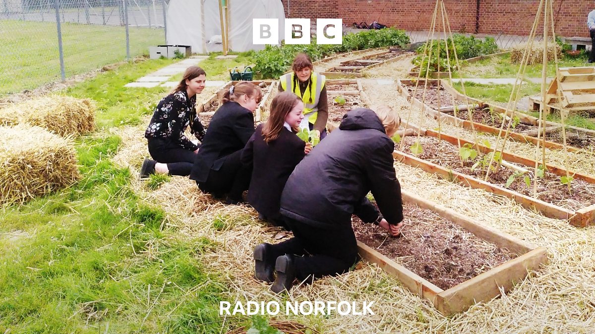 BBC Radio Norfolk - Anna Perrott, The Papillon Project, King's Lynn Academy