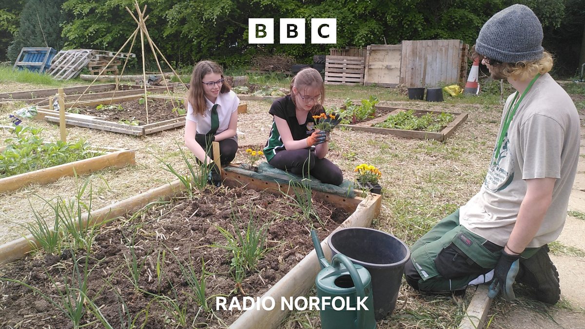 BBC Radio Norfolk - Anna Perrott, The Papillon Project, Downham Market ...