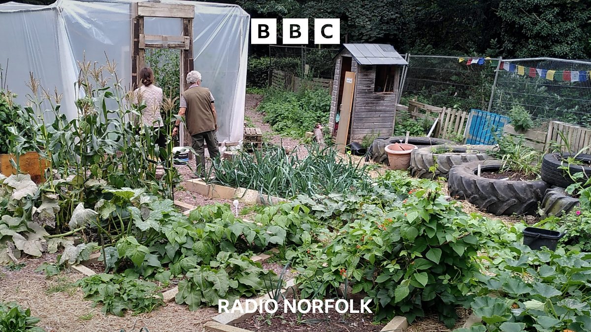 BBC Radio Norfolk - Anna Perrott, The Papillon Project, Thorpe St ...