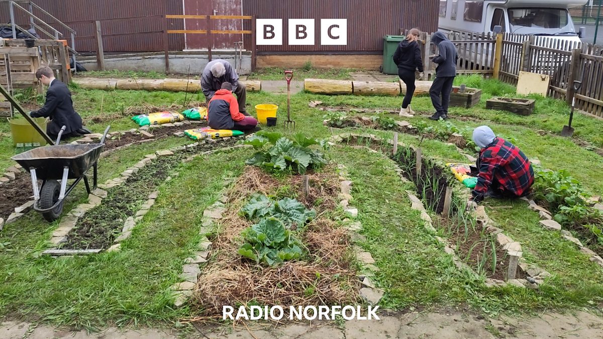 BBC Radio Norfolk - Anna Perrott, The Papillon Project, Fakenham Academy