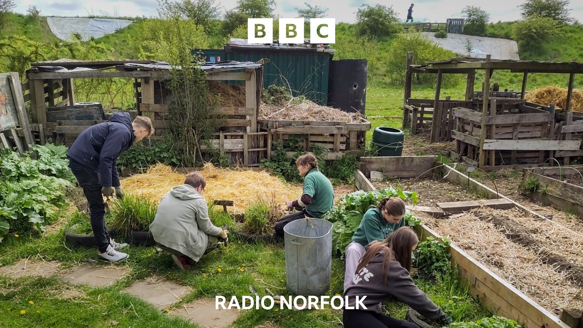 BBC Radio Norfolk - Anna Perrott, The Papillon Project, Reepham High ...