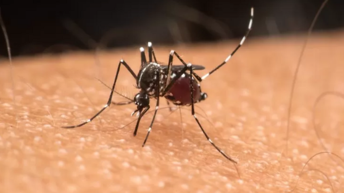 BBC Radio WM - Mollie Green on BBC Radio WM, 17/06/2023, Dr Mo on ...