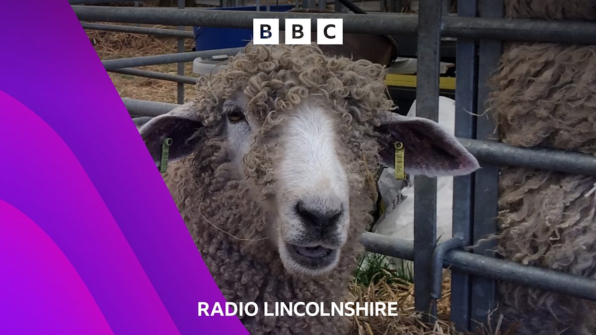 BBC Radio Lincolnshire - BBC Radio Lincolnshire, Your ultimate ...