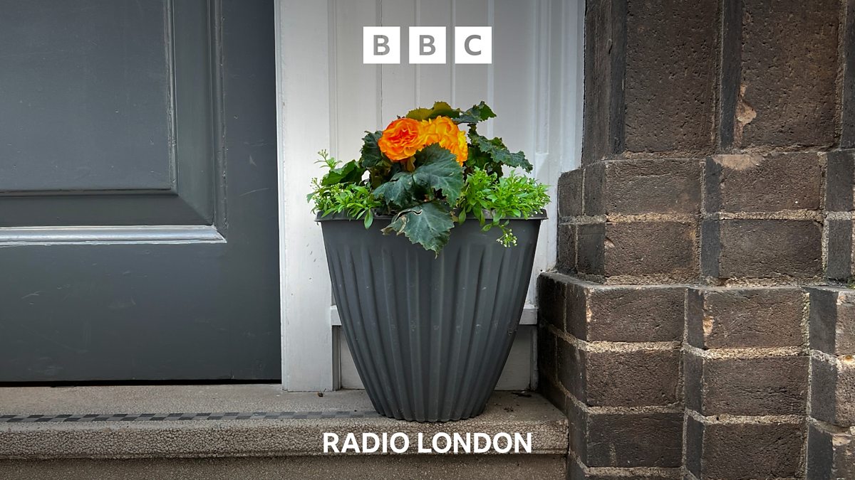 BBC Radio London - BBC Radio London, Holloway: why have pot plants been ...