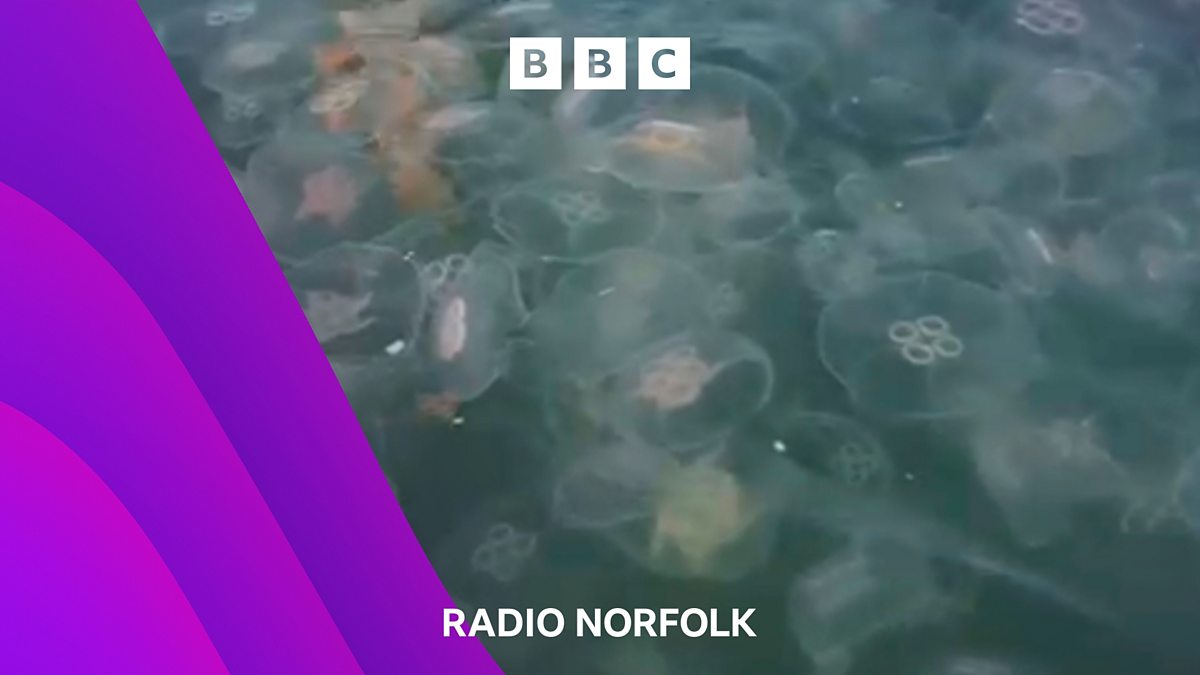 BBC Radio Norfolk - Stephen Bumfrey, 'There were literally millions of ...