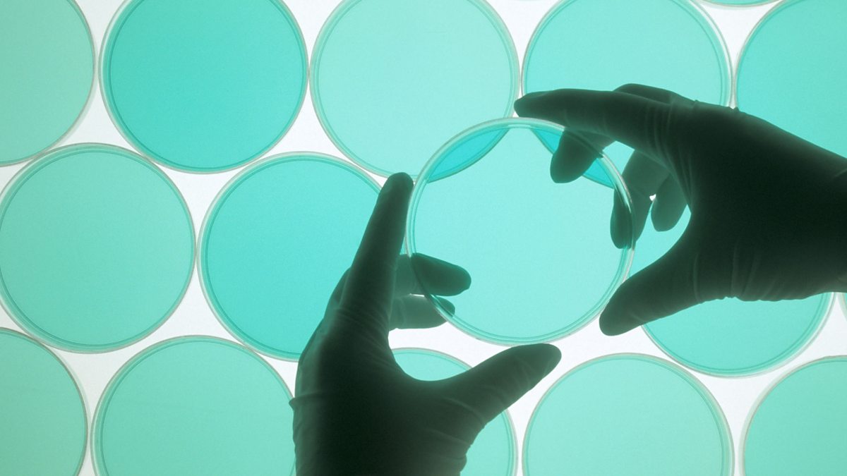 BBC World Service - Science In Action - Episode guide