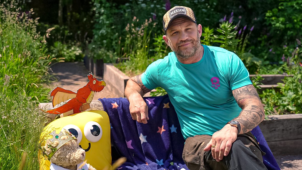 CBeebies Bedtime Stories - F-J: Tom Hardy - Zog and the Flying Doctors - BBC iPlayer
