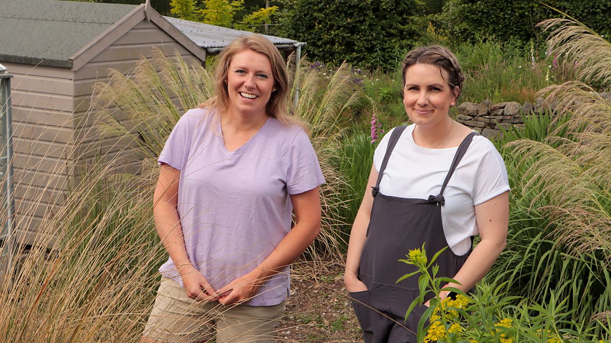 Beechgrove Garden - 2023: Episode 13 - BBC iPlayer