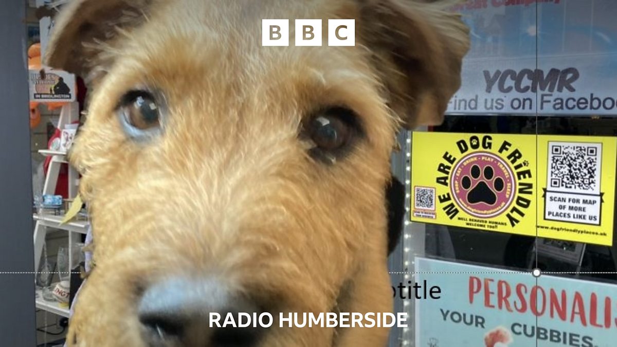 BBC Radio Humberside - BBC Radio Humberside, Get a dog-friendly map of ...