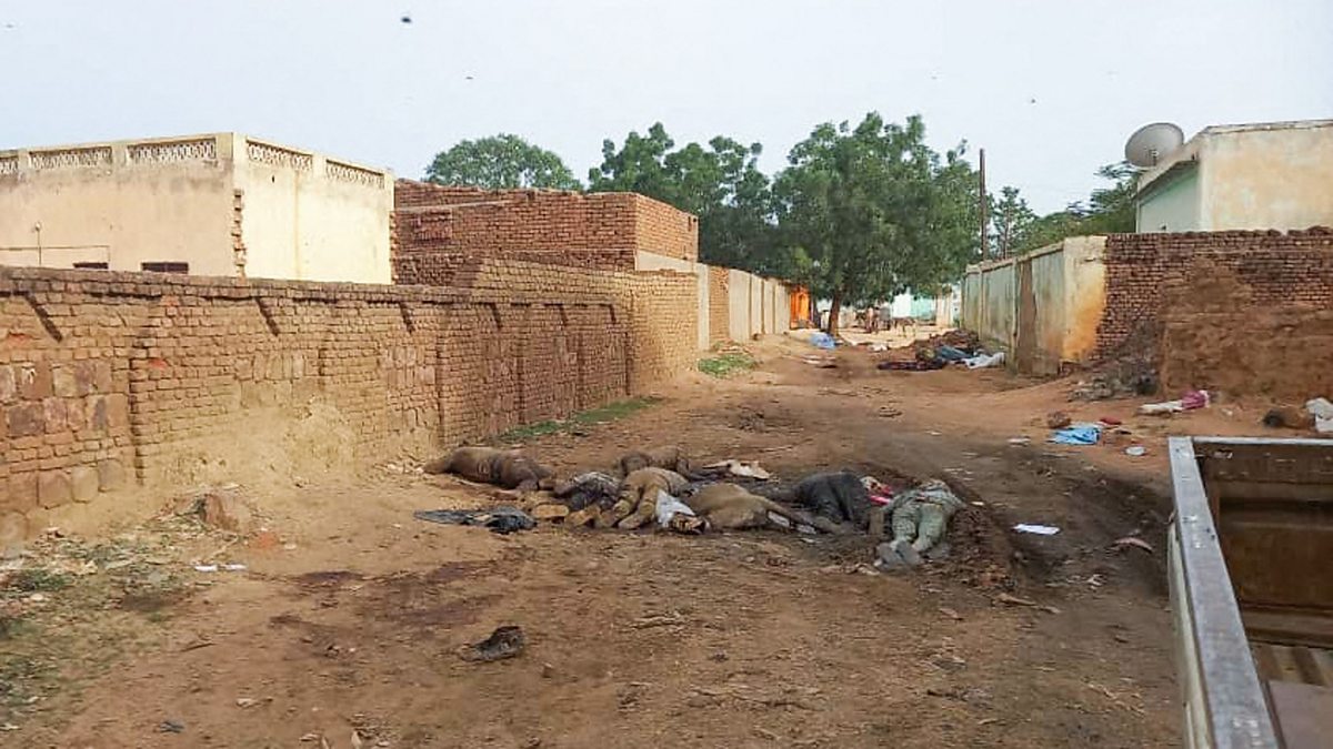 BBC World Service - Newsday, Sudan: What do we know about war crimes in Darfur?