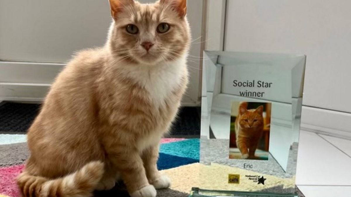 BBC Radio Newcastle - Anna Foster, Eric the cat wins National award