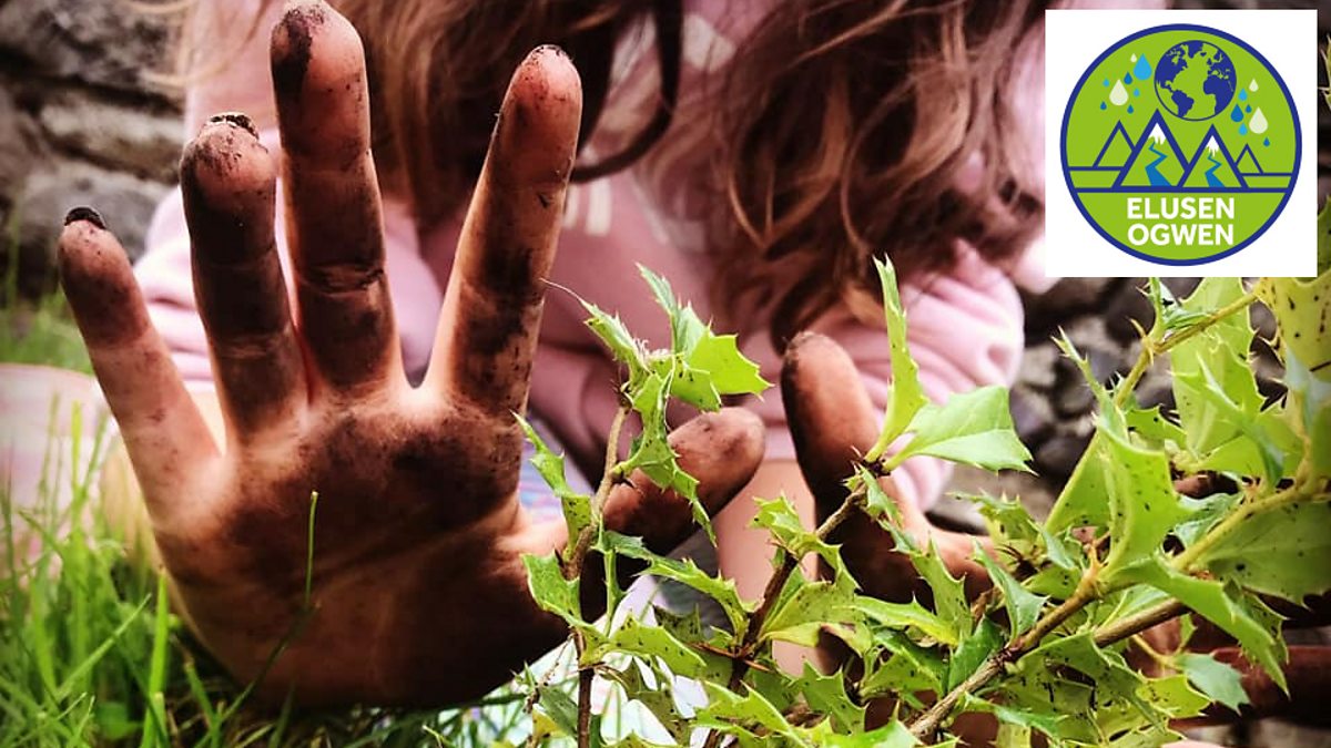 BBC Radio Cymru - Aled Hughes, Elusen Ogwen, Grantiau Elusen Ogwen ...
