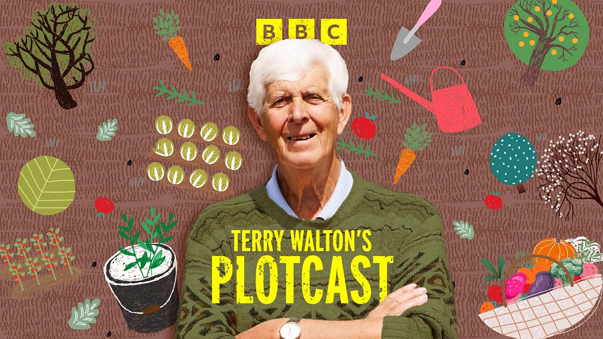 BBC Radio Wales - Terry Walton's Plotcast