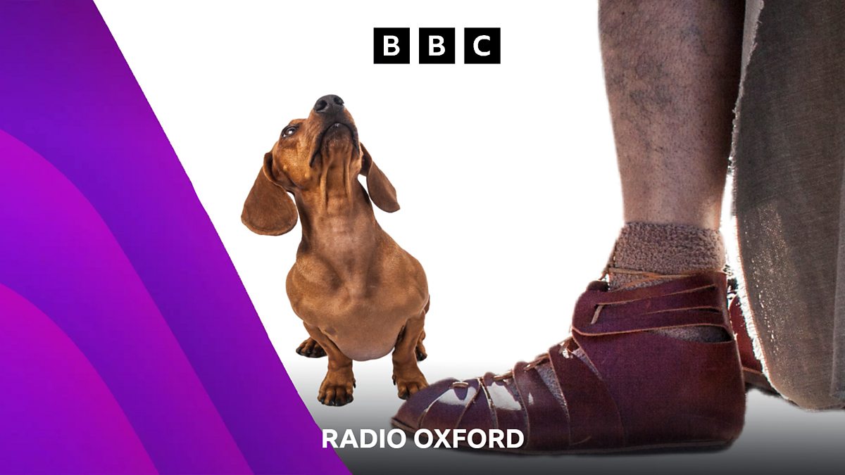 BBC Radio Oxford - BBC Radio Oxford, Tiny Roman dog