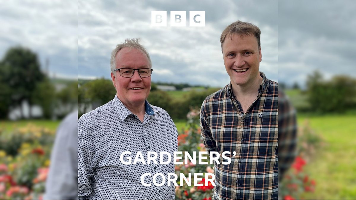 BBC Radio Ulster - Gardeners' Corner, Cottage garden colour, a fond ...