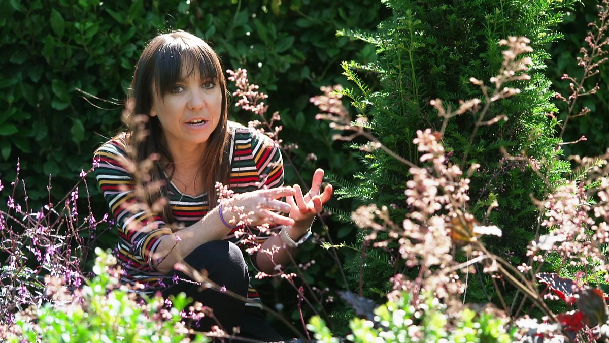 S4C - Garddio a Mwy, Cyfres 2023, Pennod 16