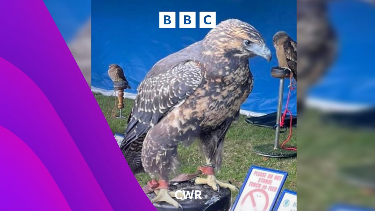 BBC CWR - BBC CWR, Where's George?