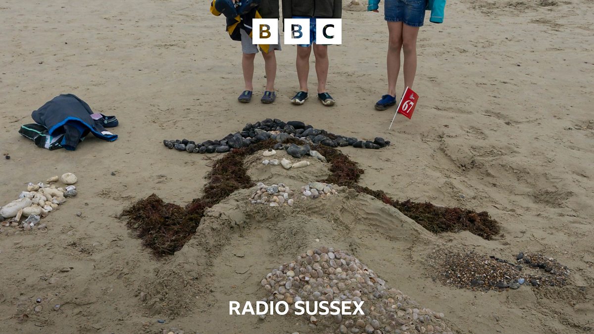 BBC Radio Sussex - BBC Radio Sussex, Turtles, Castles and more on ...