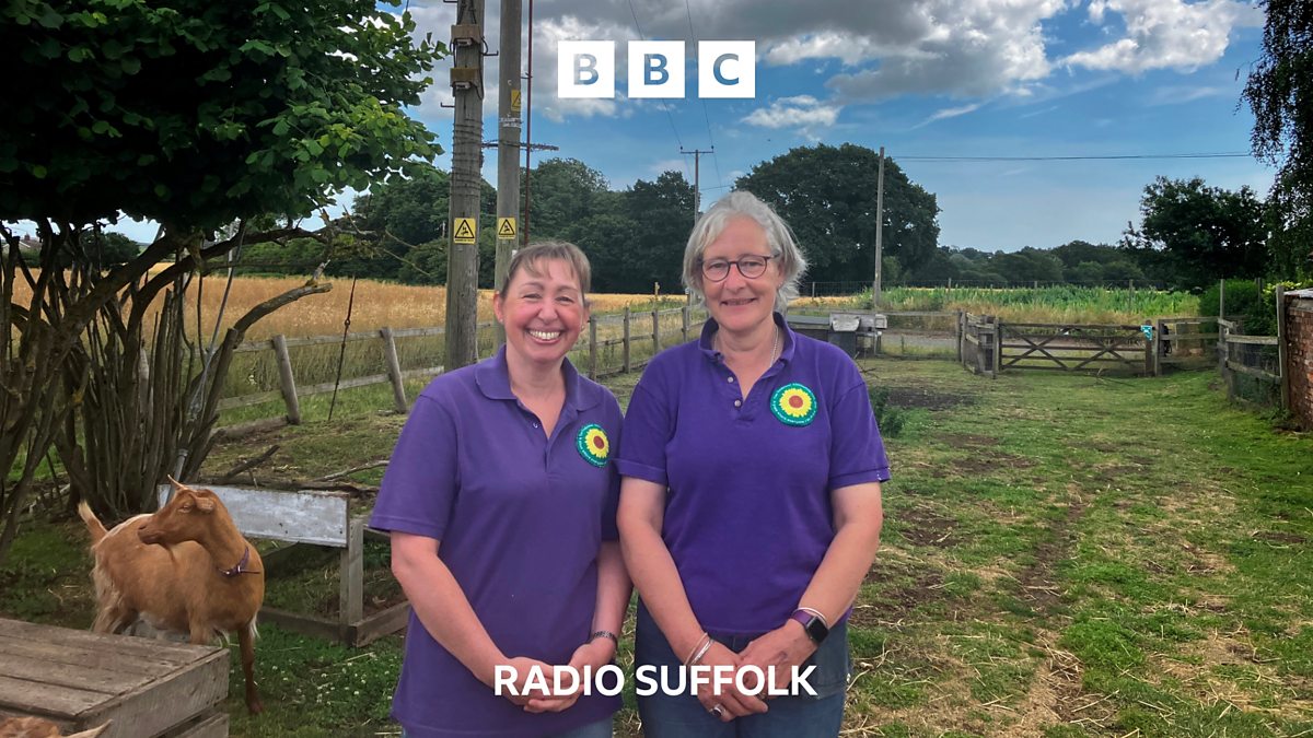 BBC Radio Suffolk - BBC Radio Suffolk, What goes on at a care farm?