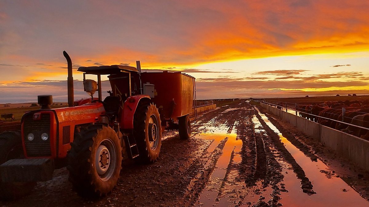 BBC Radio Solent - Steve Harris, Dorset Breakfast 15/08/2023, Food ...