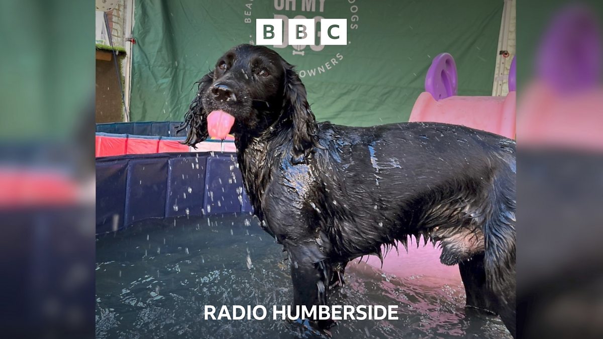 BBC Radio Humberside - BBC Radio Humberside, Beverley business marks ...