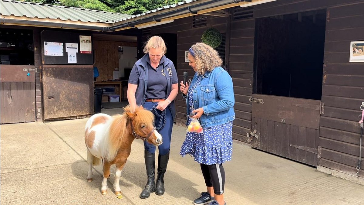 BBC Three Counties Radio - Babs Michel, Have you heard of pony cuddle ...