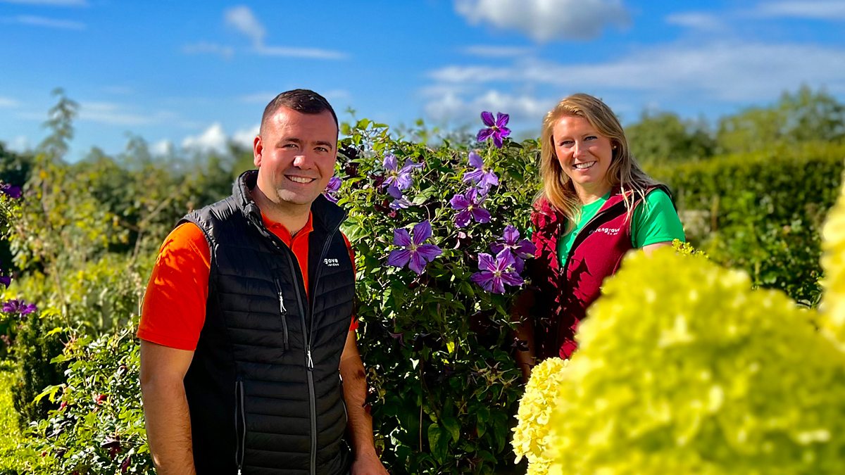 Beechgrove Garden - 2023: Episode 23 - BBC iPlayer