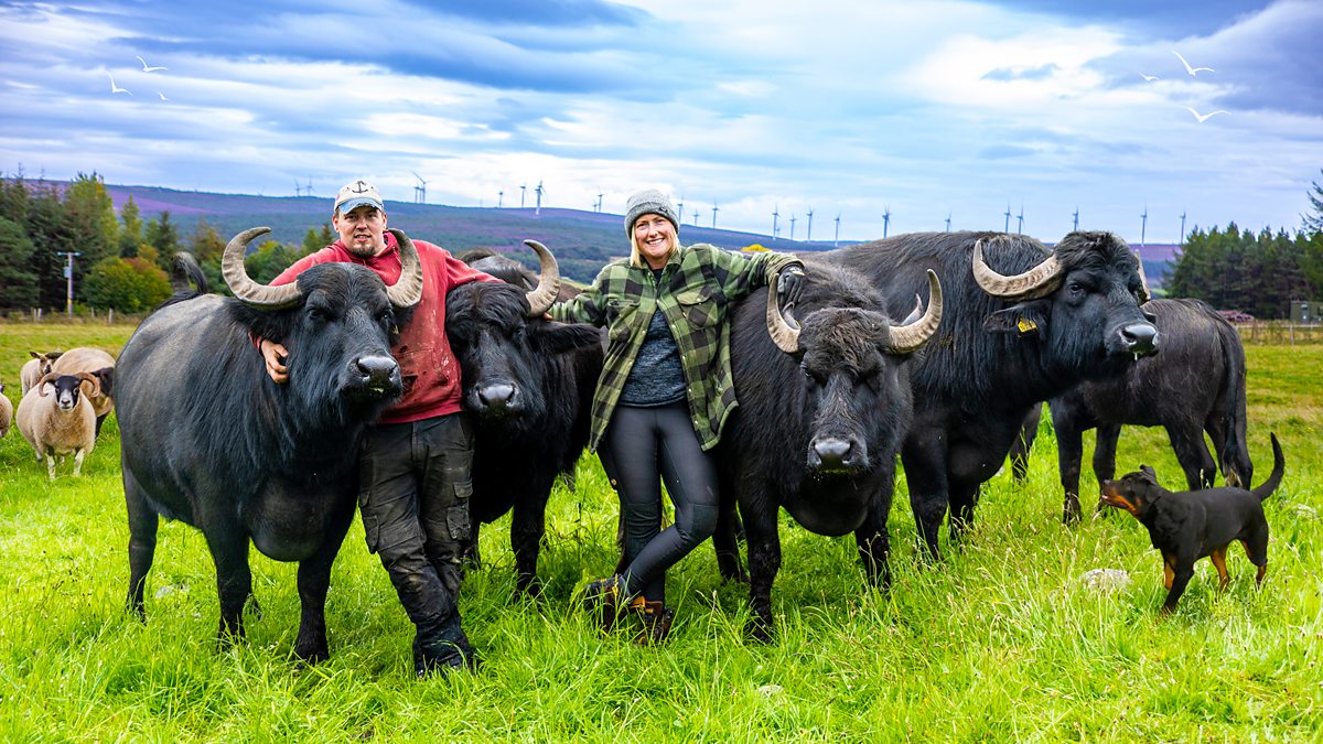 BBC Two - This Farming Life, Series 6