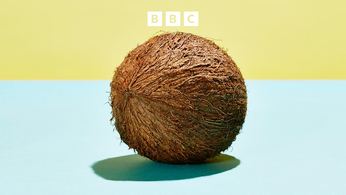 BBC World Service - People Fixing the World, Coconuts fixing the world