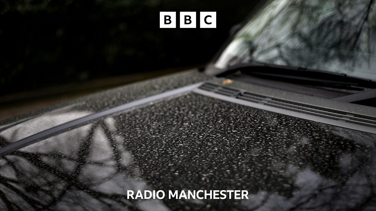BBC Radio Manchester - BBC Radio Manchester, Oldham dealer's forecourt ...