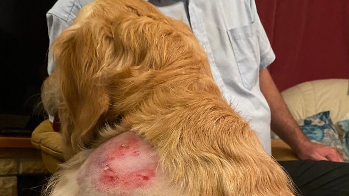 BBC Radio Devon - John Acres, 14/09/2023, Torbay councillor Steve ...