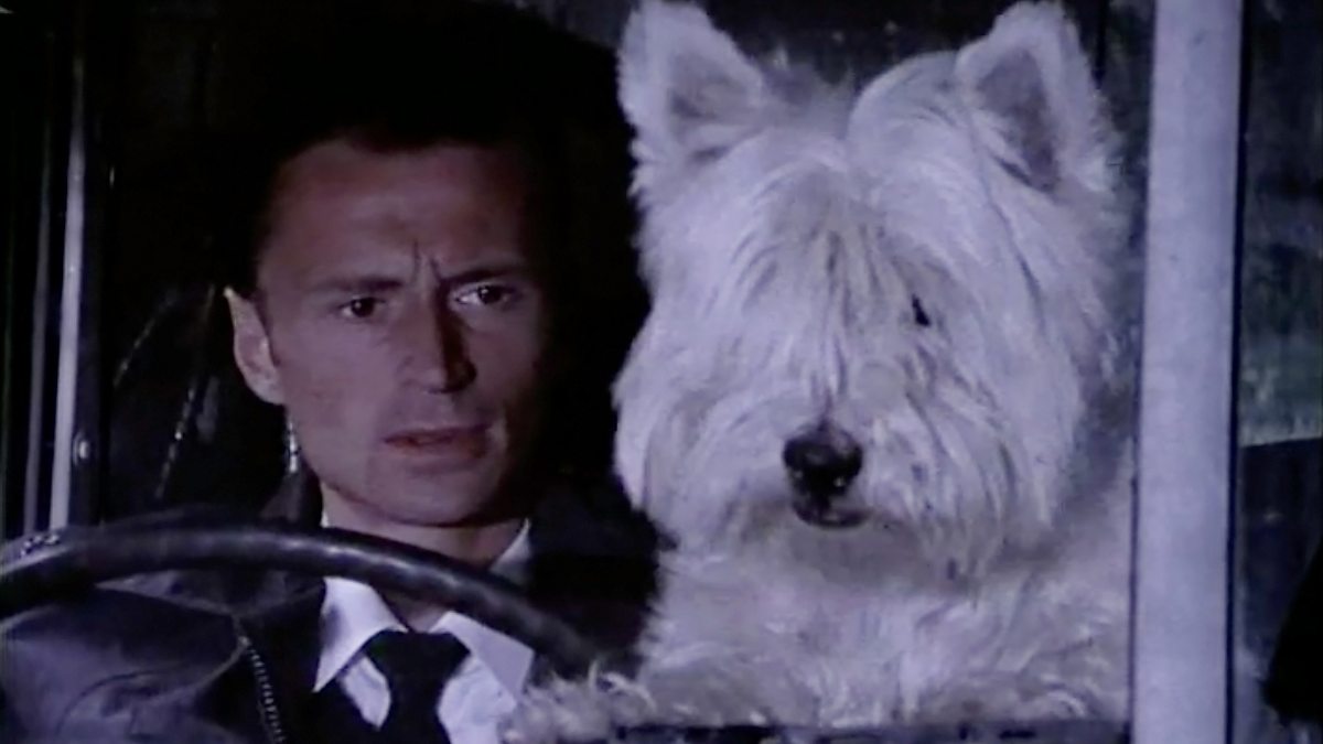 Hamish Macbeth - Series 1: 1. The Great Lochdubh Salt Robbery - BBC iPlayer