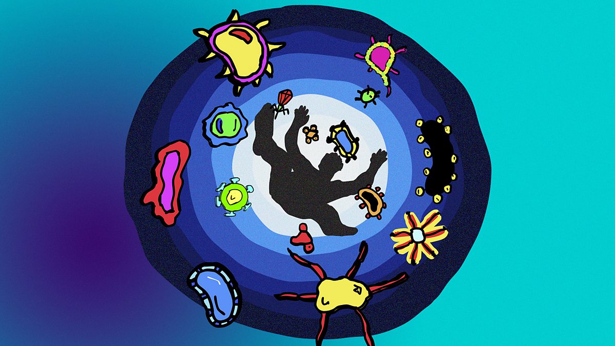 BBC Radio 4 - Bacteria: The Tiny Giants, Microbial Cities and New Worlds