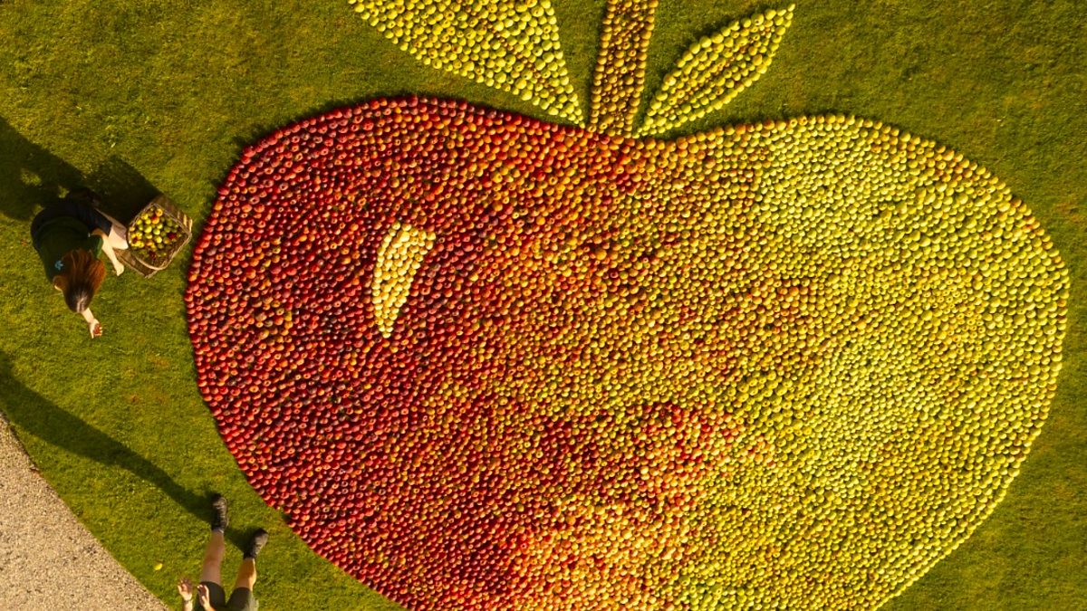 BBC Radio Cornwall - James Dundon, 16/09/2023, A fruitful Apple ...