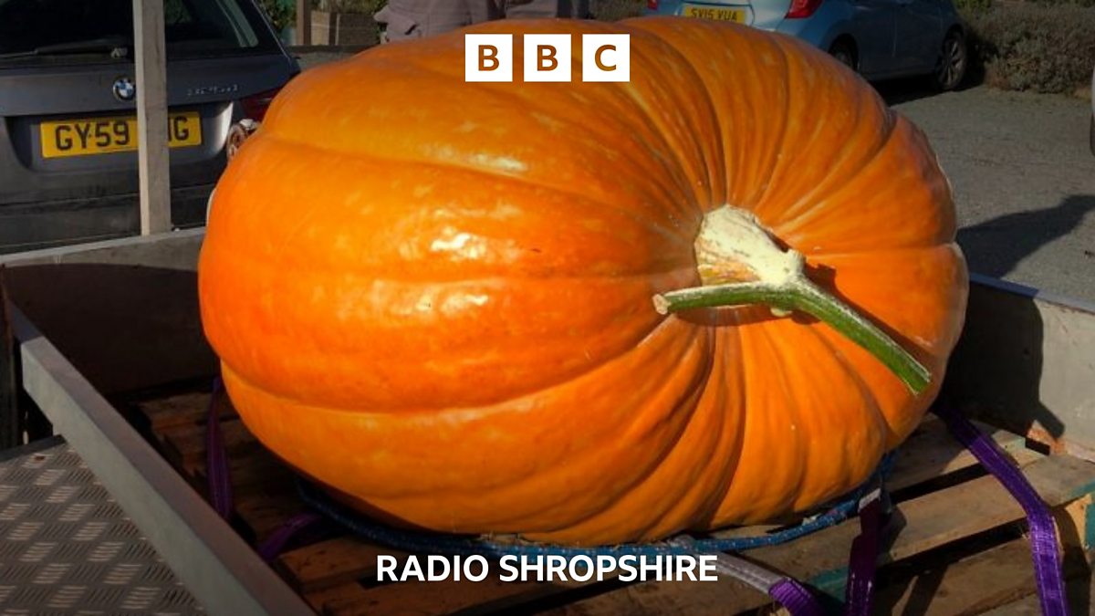 BBC Radio Shropshire - BBC Radio Shropshire, Shropshire's 700lb pumpkin
