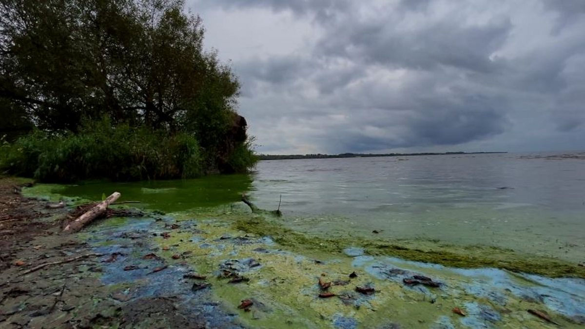 BBC Radio Ulster - The Nolan Show, 22/09/2023, Lough Neagh could be ...