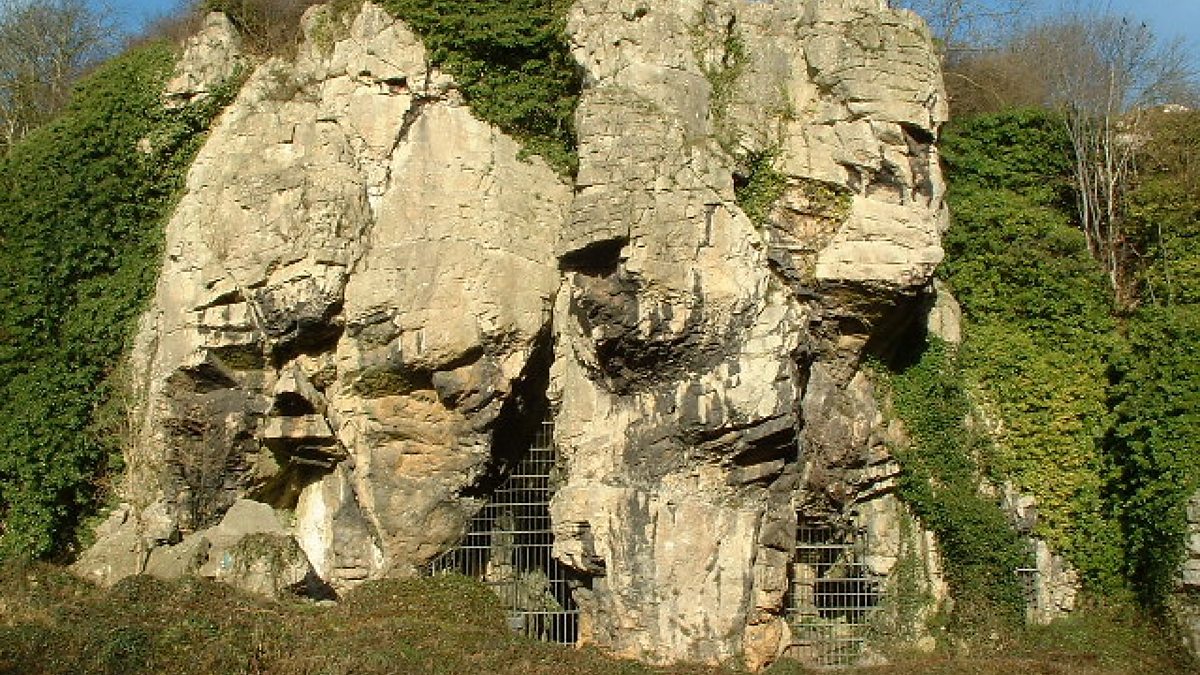 BBC Radio Sheffield - Becky Measures on BBC Radio Sheffield, Weekend ...