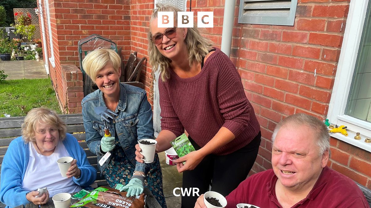 BBC CWR - BBC CWR, Blooms boost Cov's mental health