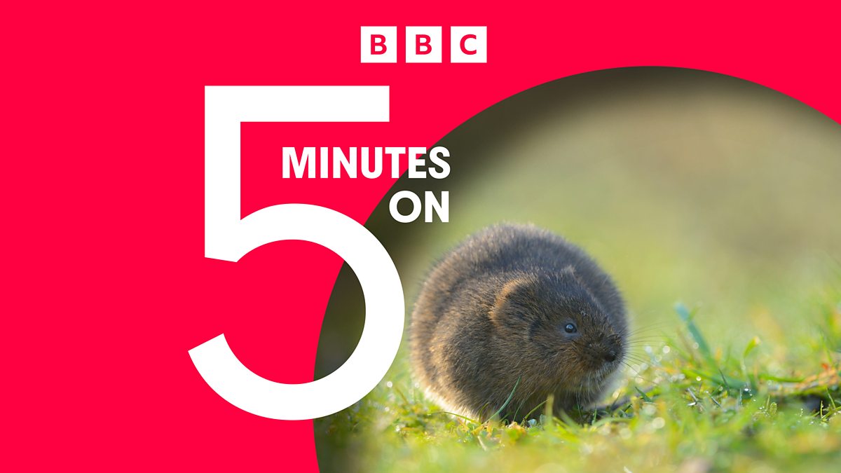 BBC News - Latest News Picks, Saving Nature