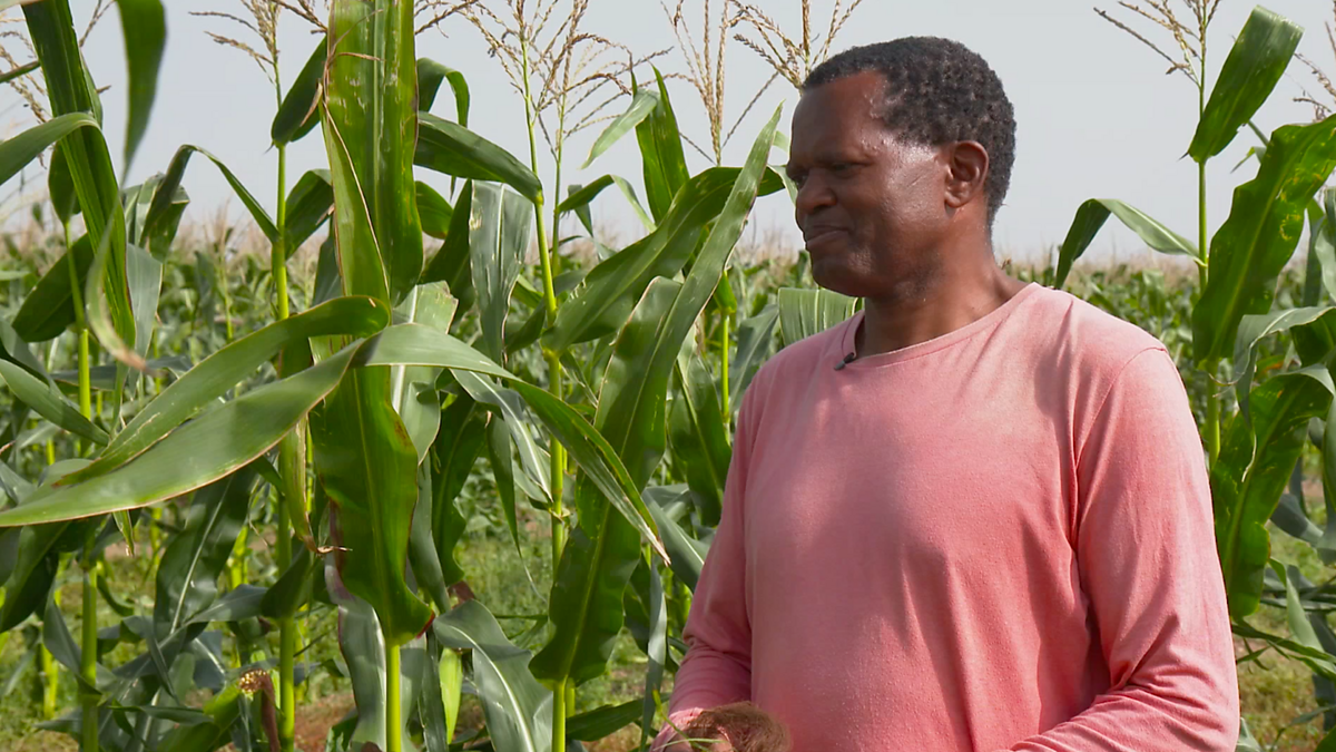 BBC One - Songs of Praise, Harvest, Farmer David Mwanaka