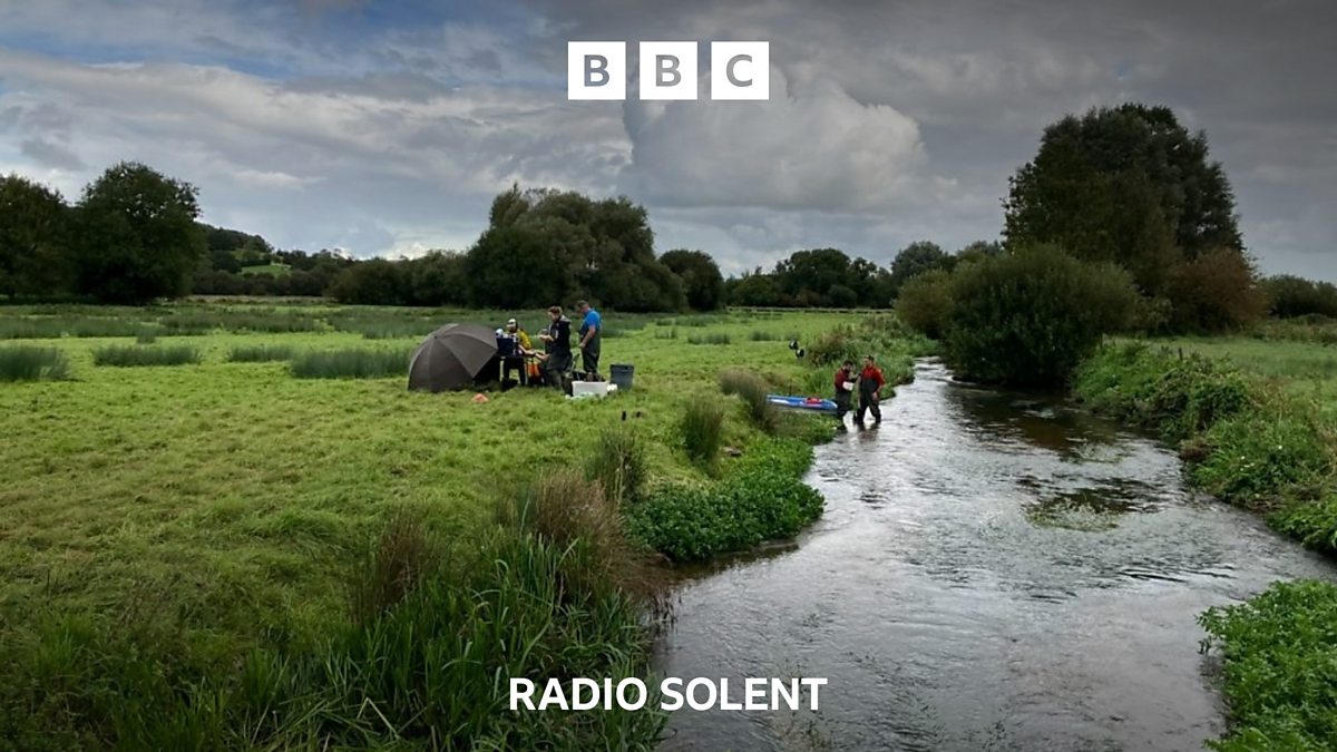 BBC Radio Solent - BBC Radio Solent, Where have all the salmon in ...